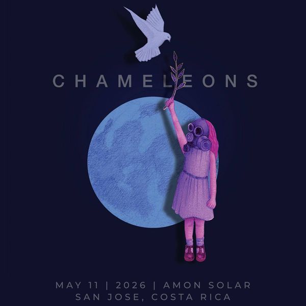 Chameleons - Shows