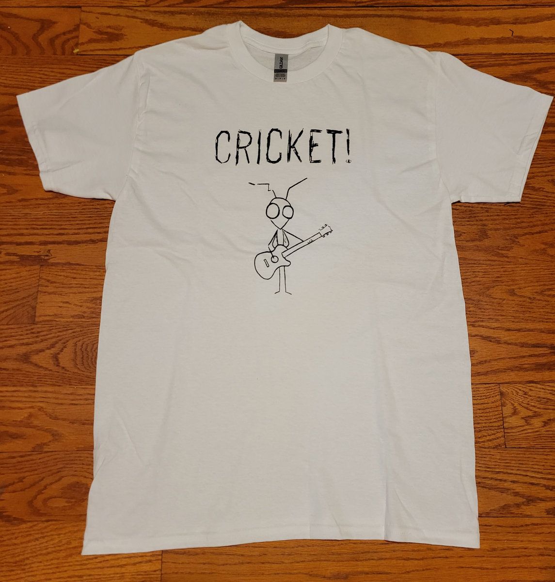 Cricket!