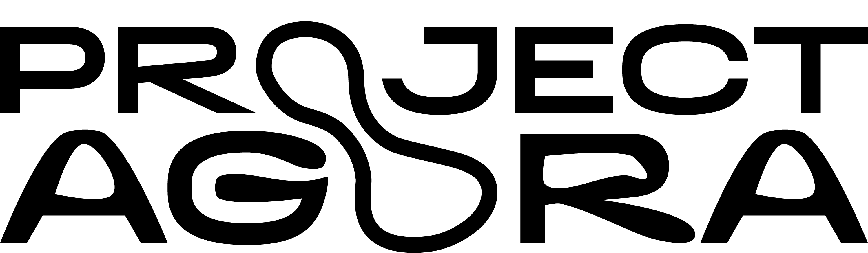 Project Agora