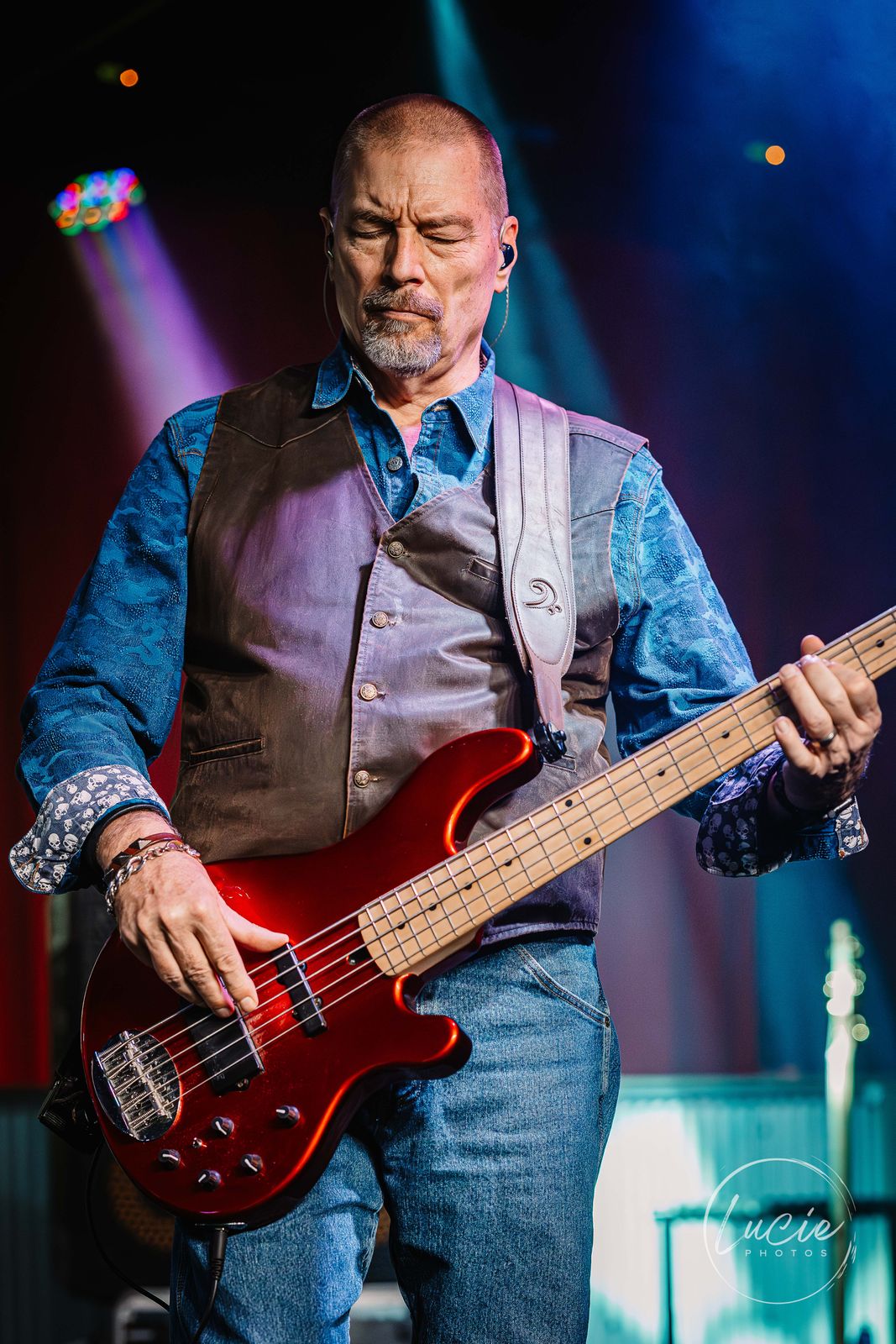 Stone Daisy Band - Photos and Videos