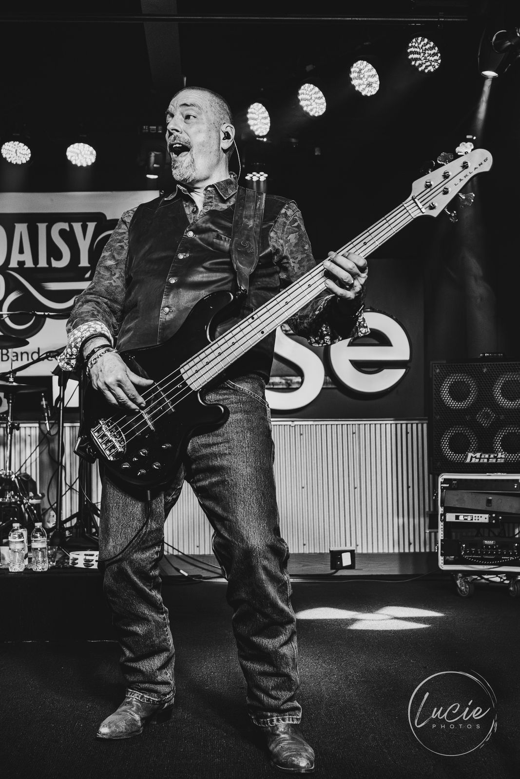 Stone Daisy Band - Photos and Videos