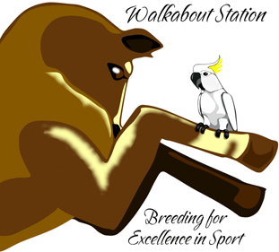 Walkabout Station - Foaling Calculator