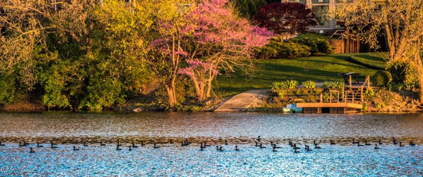 LakeShore Village - LSV Board, Staff, HOA Info
