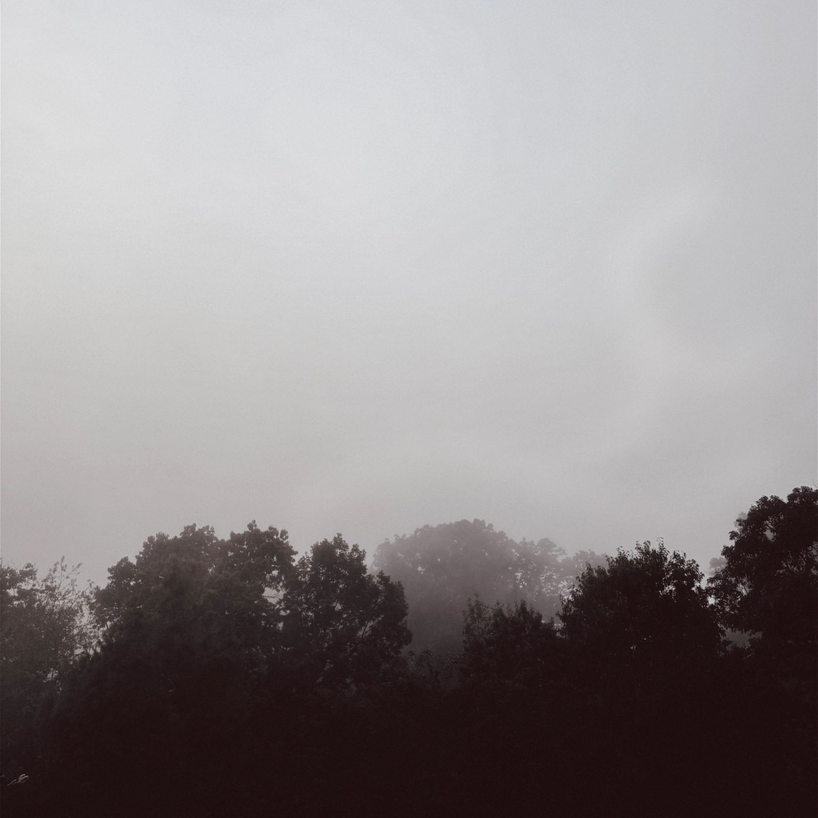 LKHD - Store