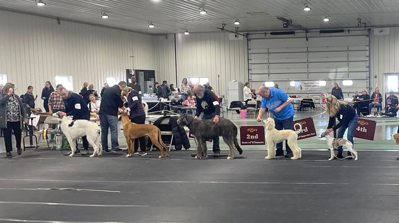 Greater Valley Forge Rhodesian Ridgeback Club - Events and Premiums