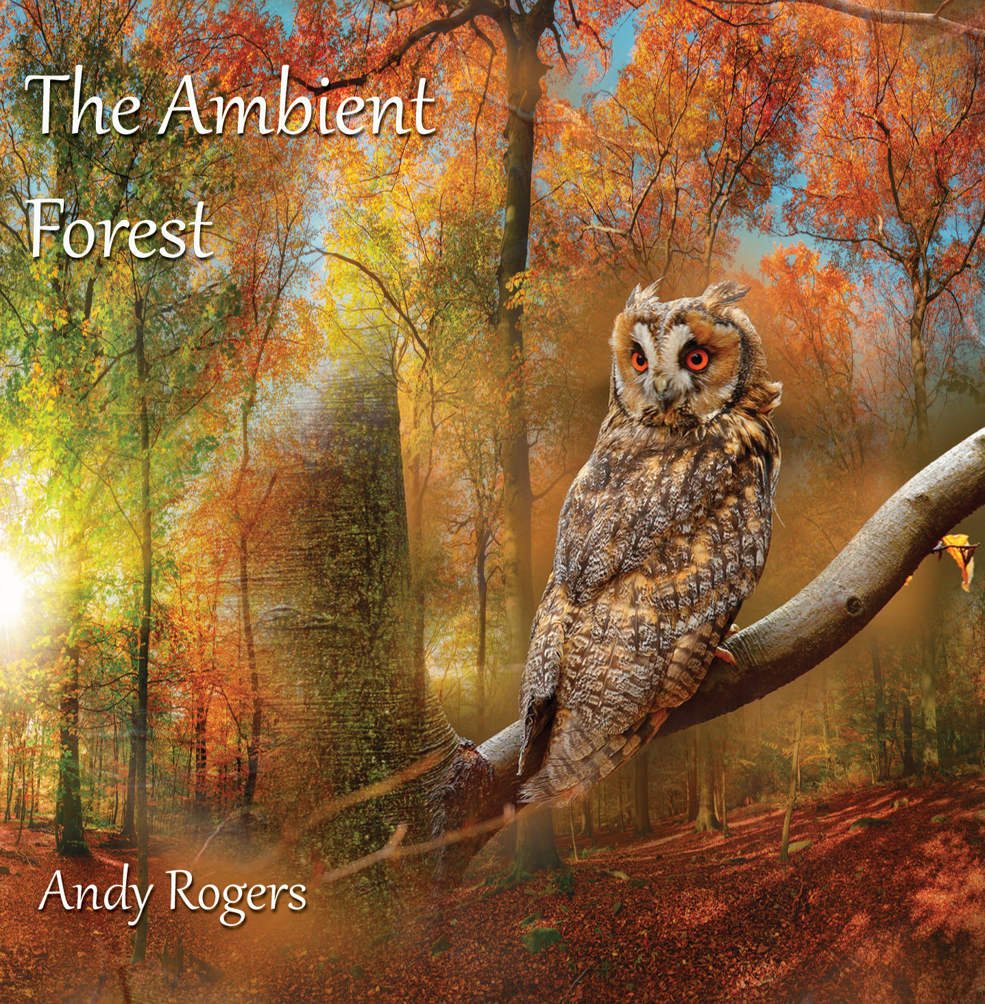 Spirits Of The Forest by Andy Rogers