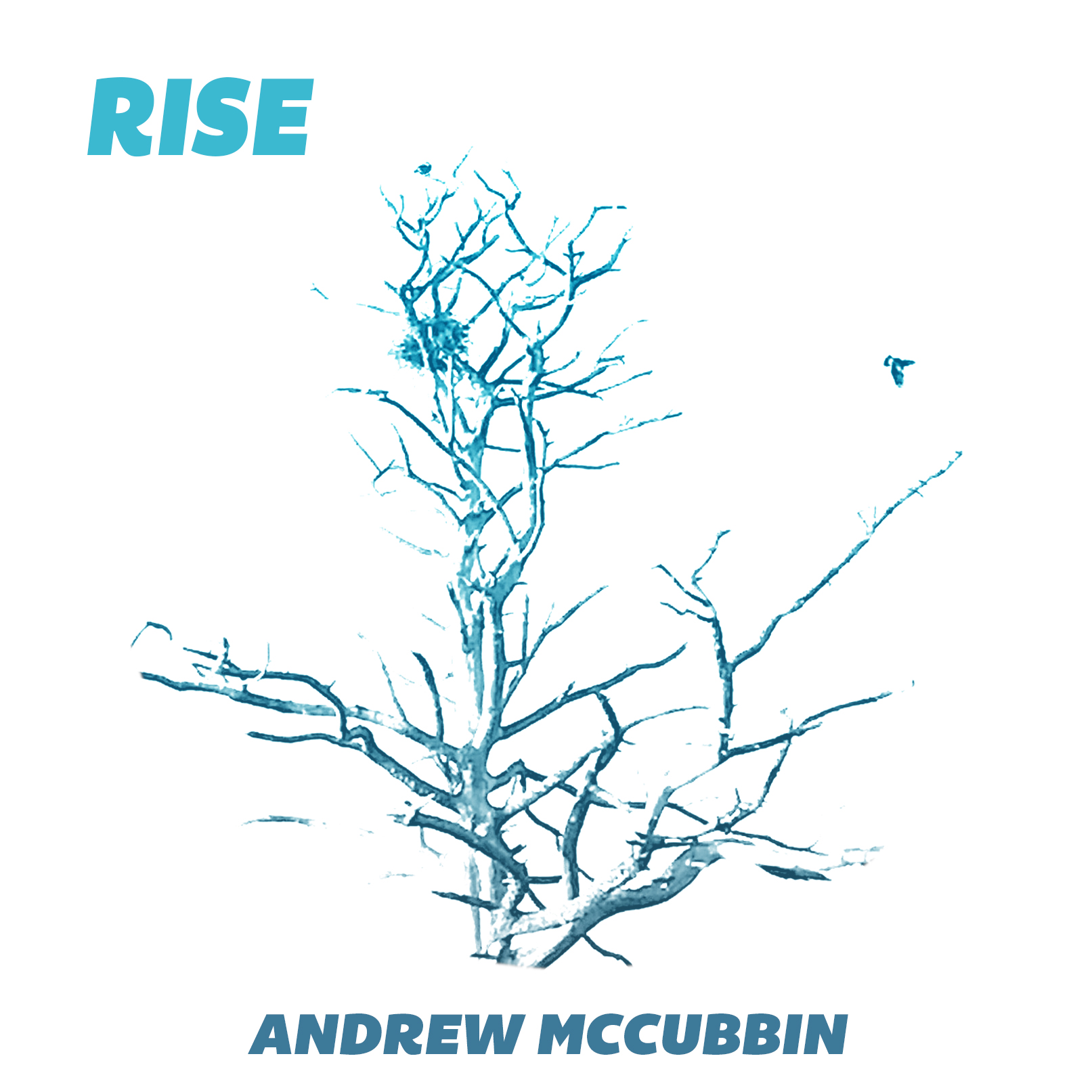 Andrew McCubbin
