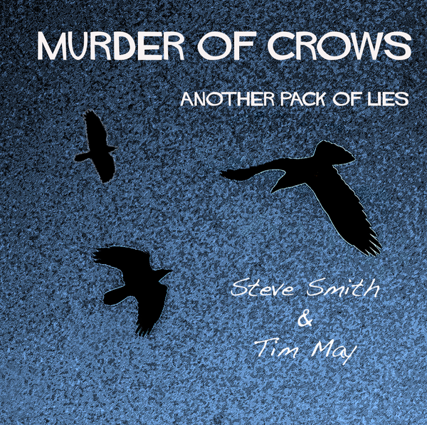 steve smith and tim may | desert night music - Music
