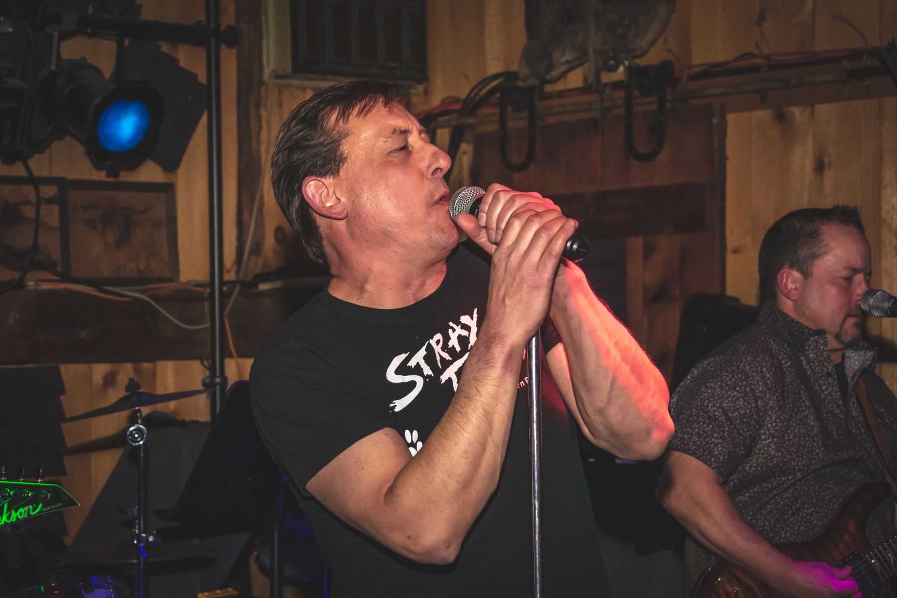 stray dog - Song List
