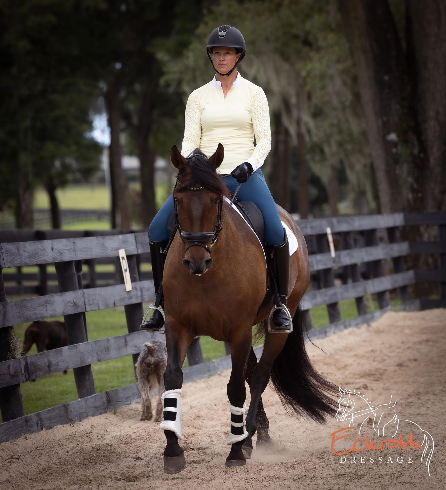 Eline Eckroth Dressage - Xanadu