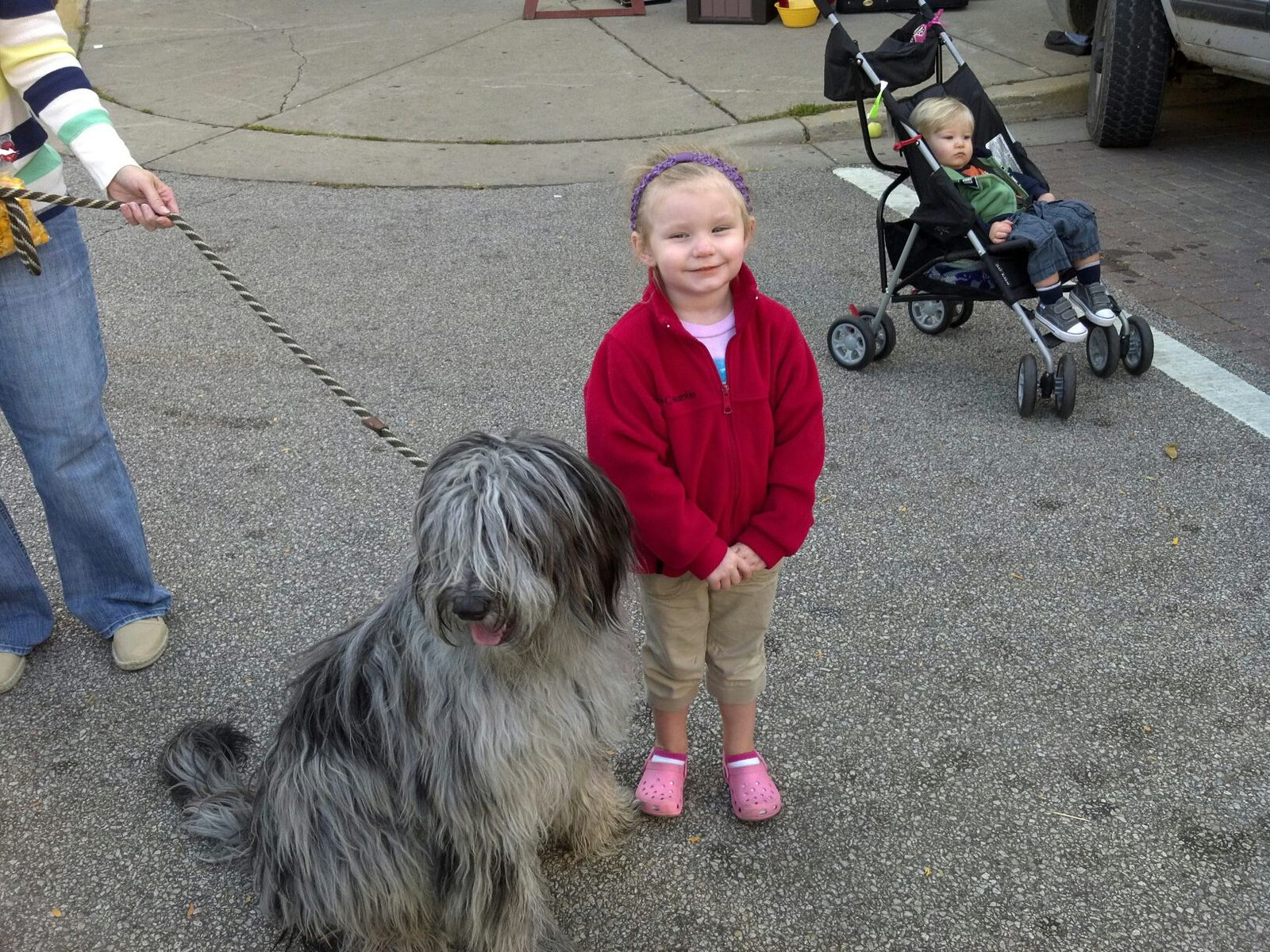 Windy Hill Bergamascos - Bergamasco the right breed?