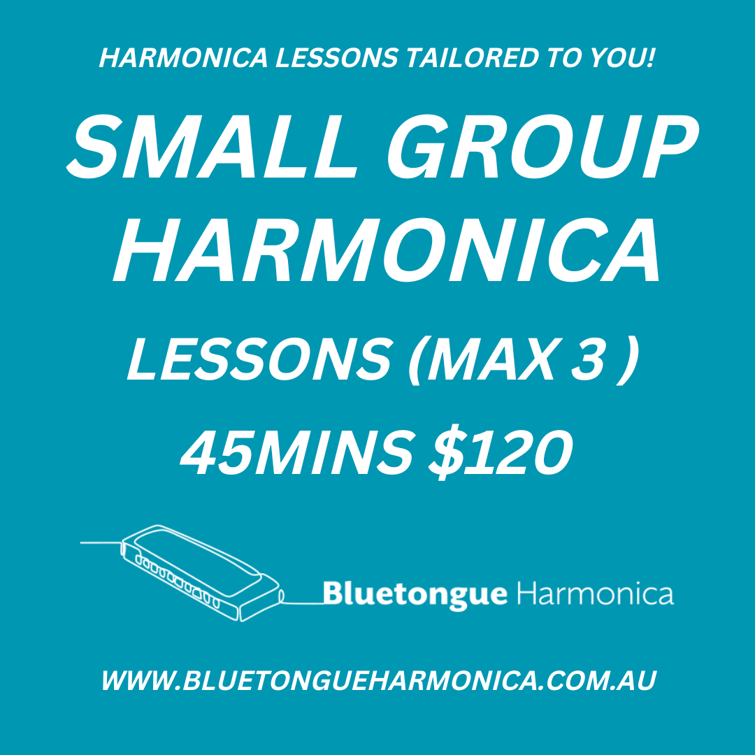 Small Group Harmonica Lessons - Bluetongue Harmonica