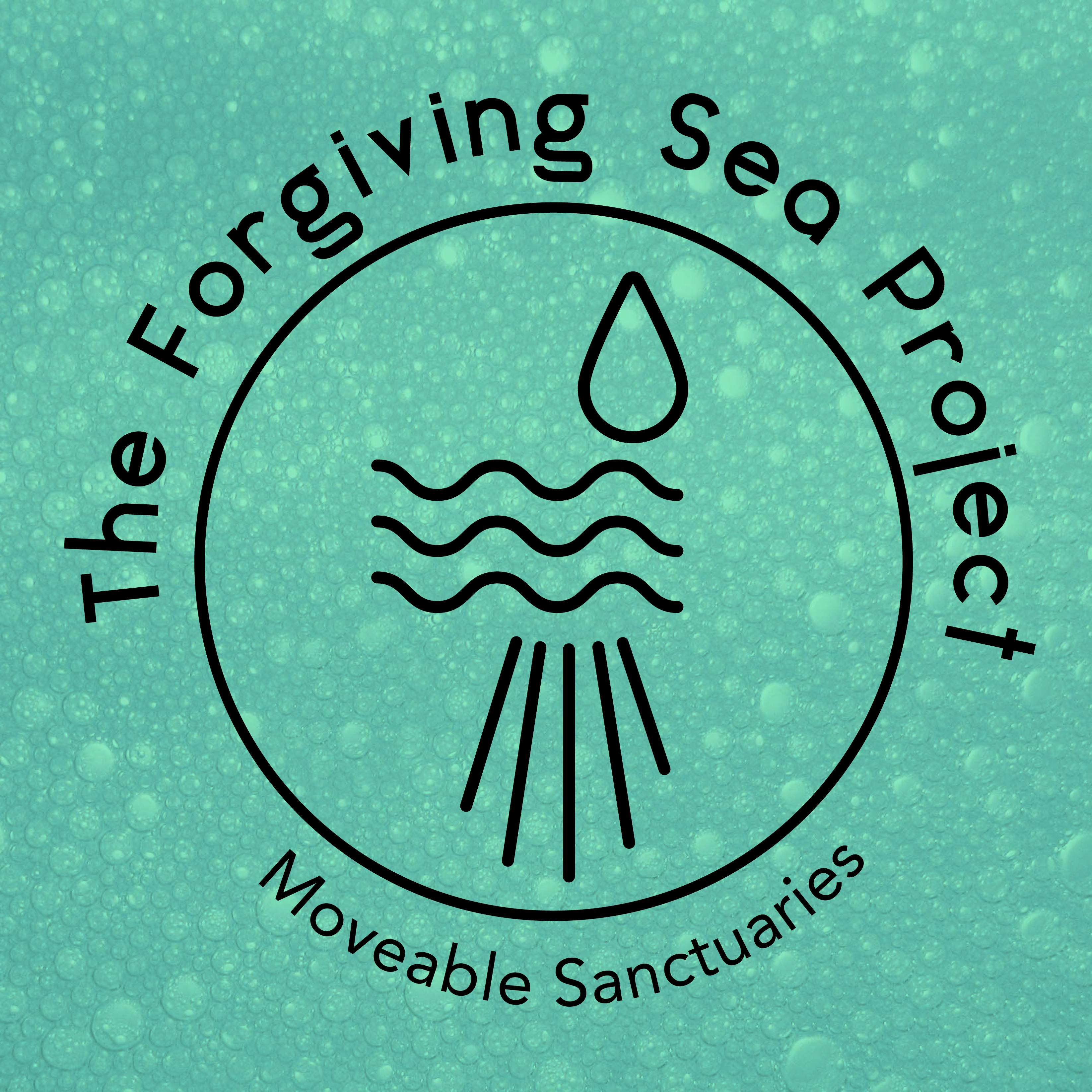 The Forgiving Sea Project - ABOUT