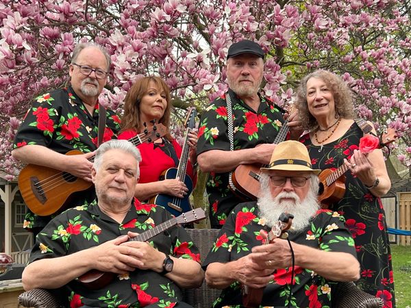 Sonic Uke Ensemble
