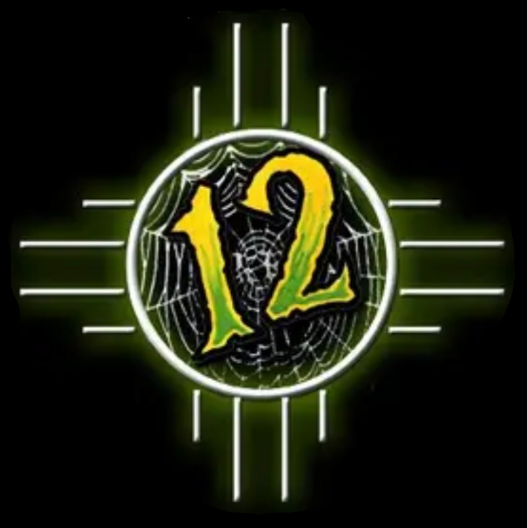12 Step Rebels - Shows
