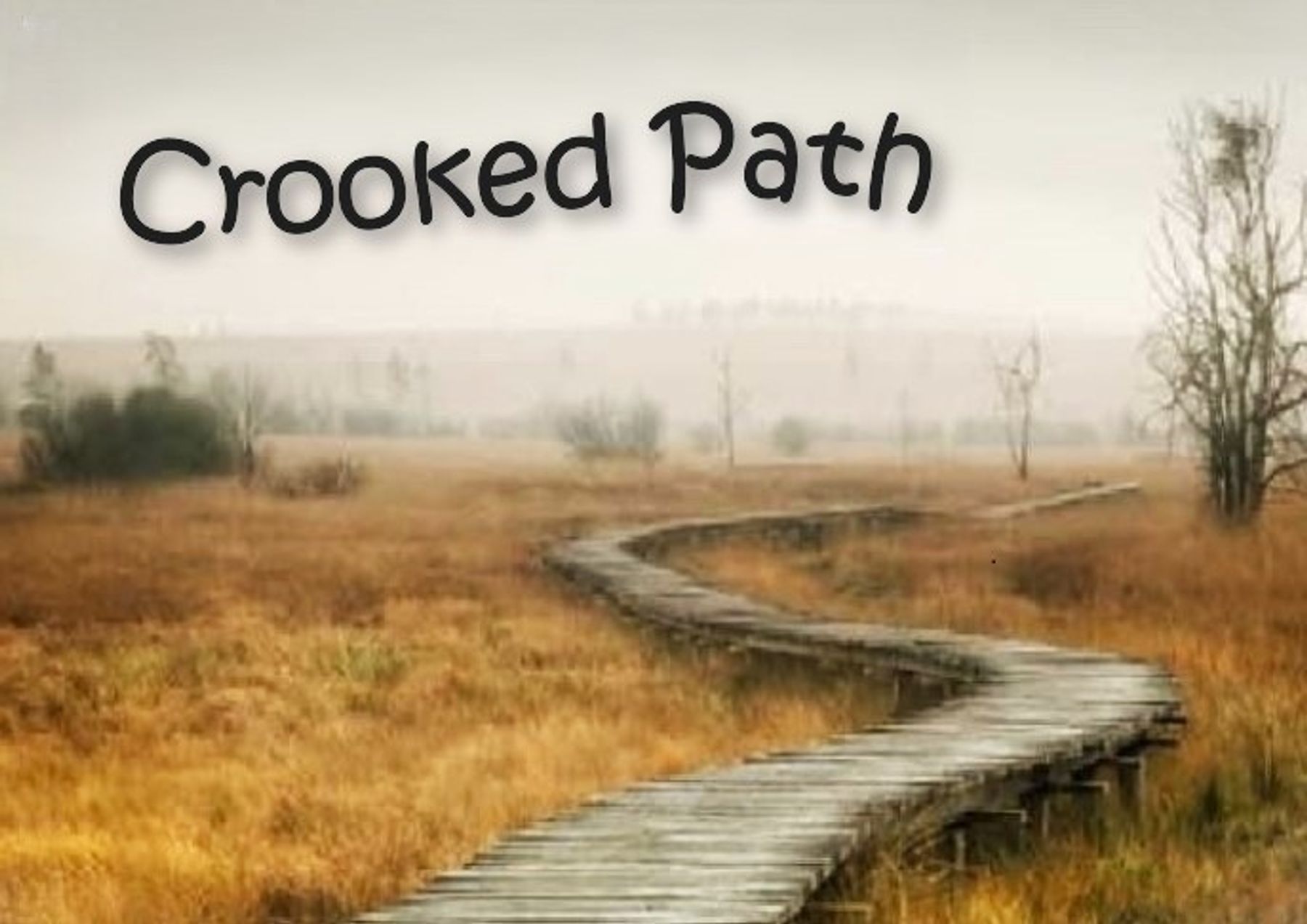 CROOKED PATH - SHOWS