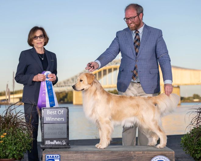 Saddle Rock Kennels - Golden Retrievers