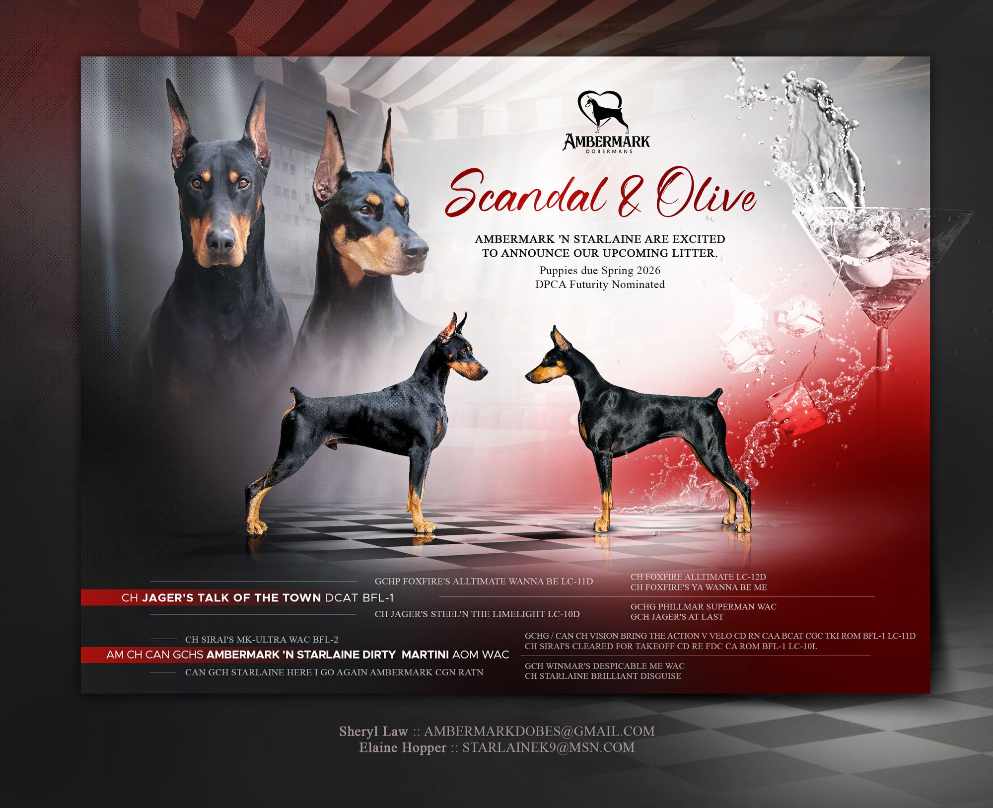 Ambermark Dobermans - Litter Plans