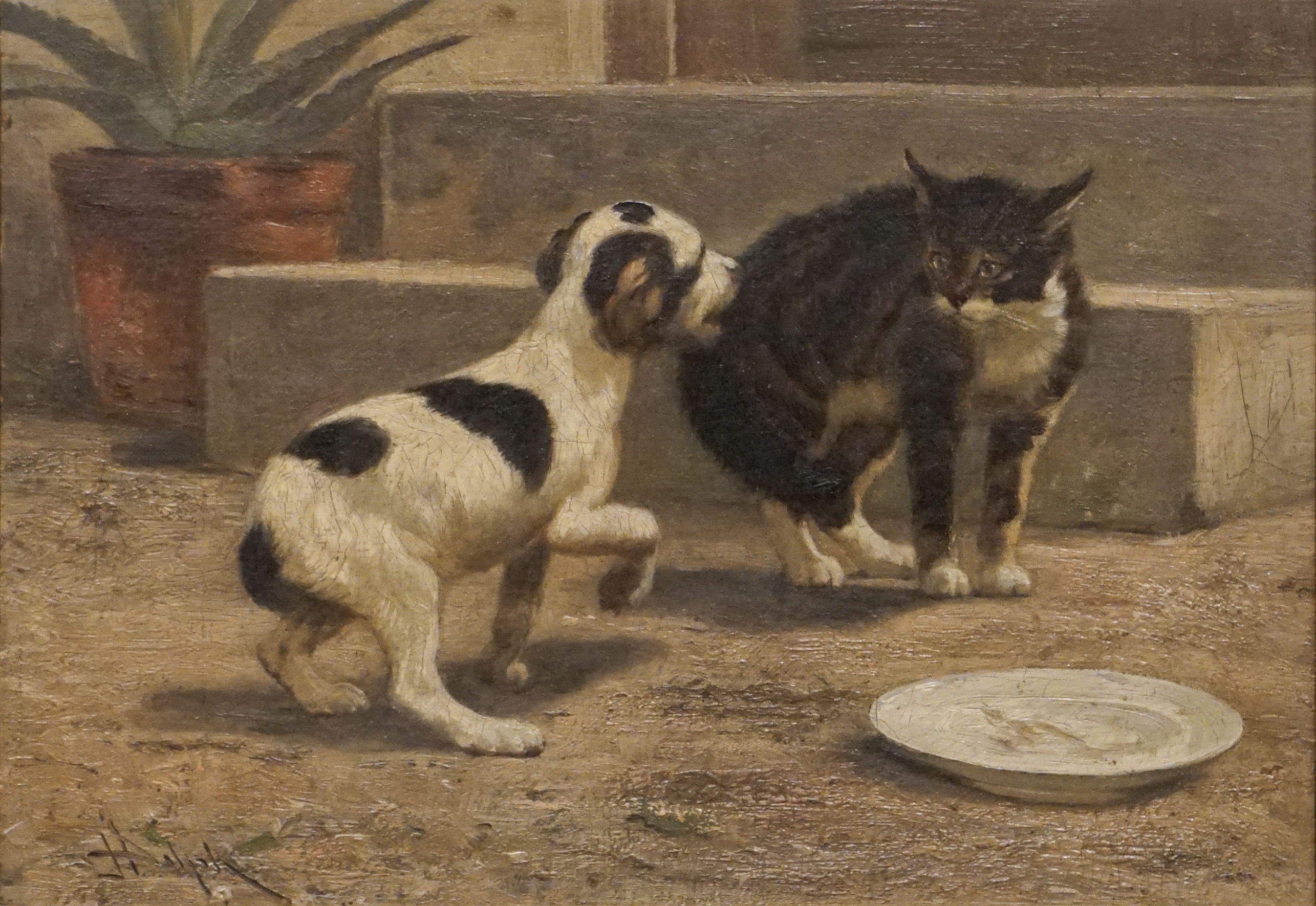 UnderMain - Dogs & Cats